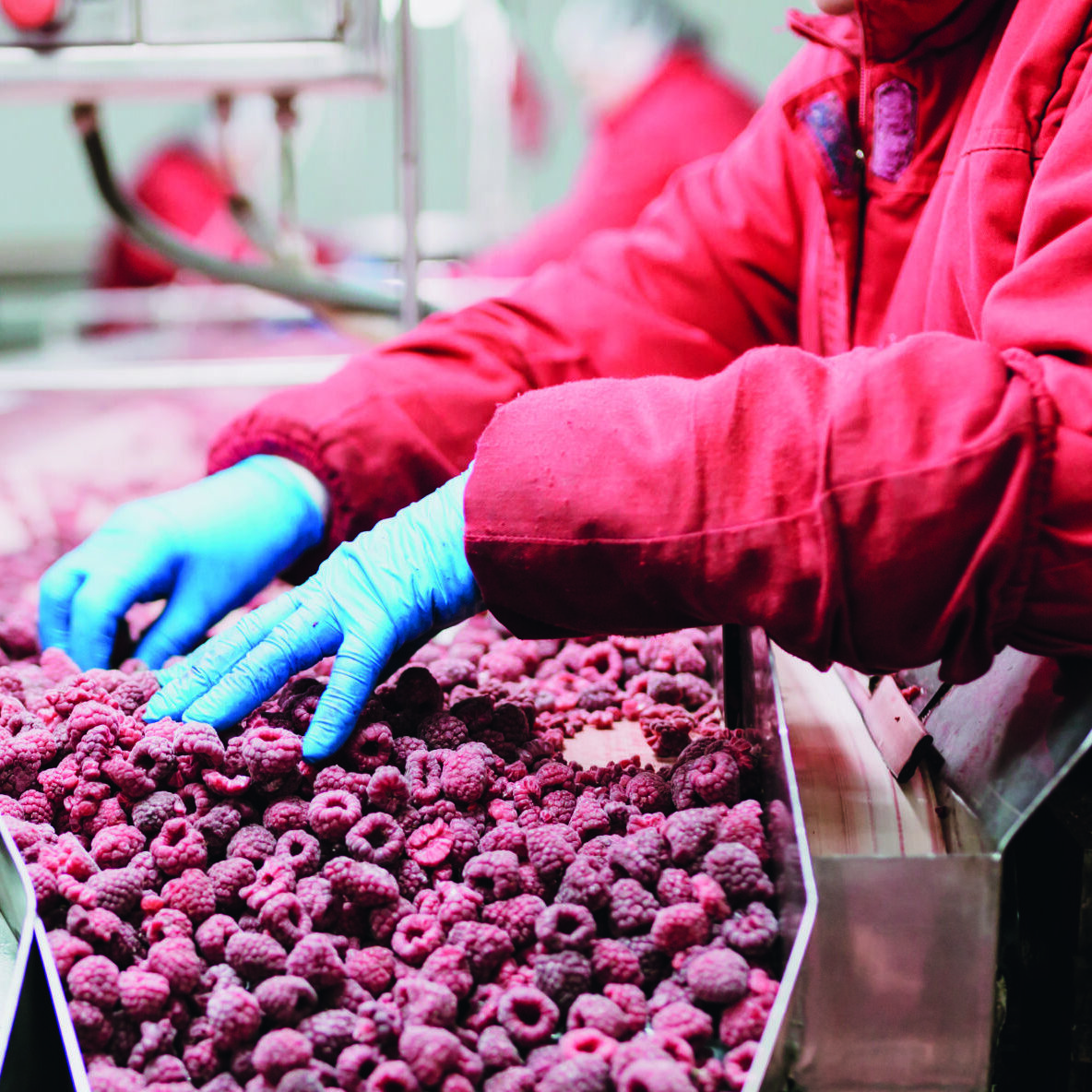 Stifen – Créée en 1994, Stifen est implantée dans la région de Korba au ...