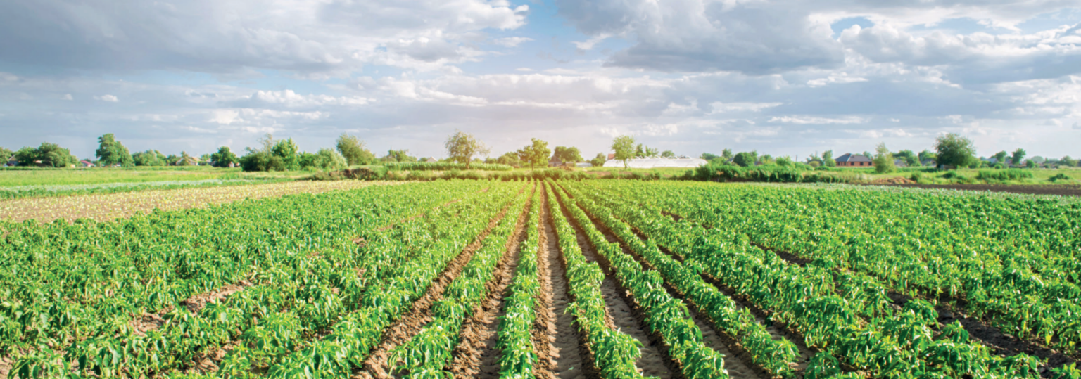 L’entreprise – Stifen