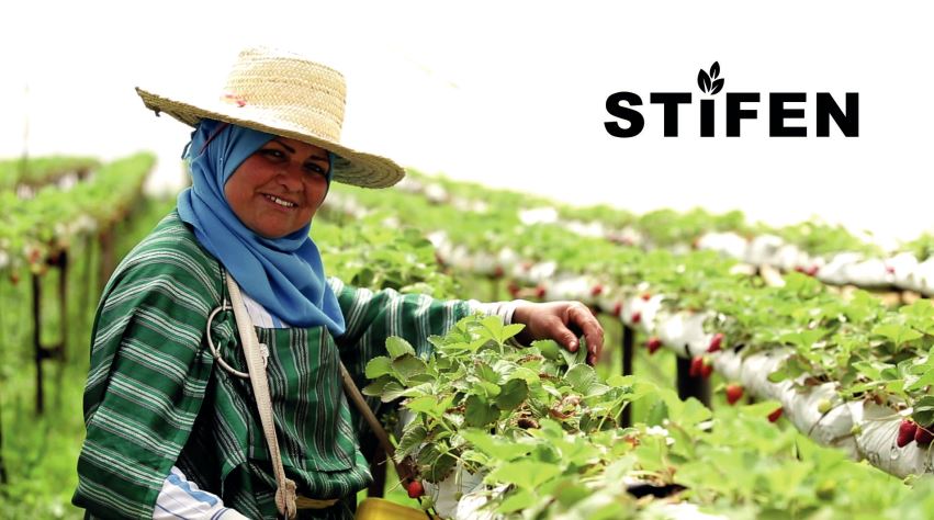 Activité agroalimentaire – Stifen