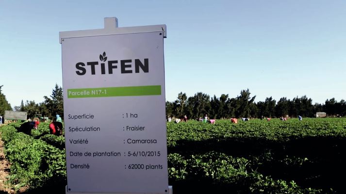 Activité agroalimentaire – Stifen