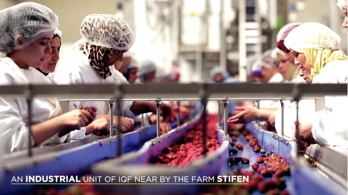 Activité agroalimentaire – Stifen